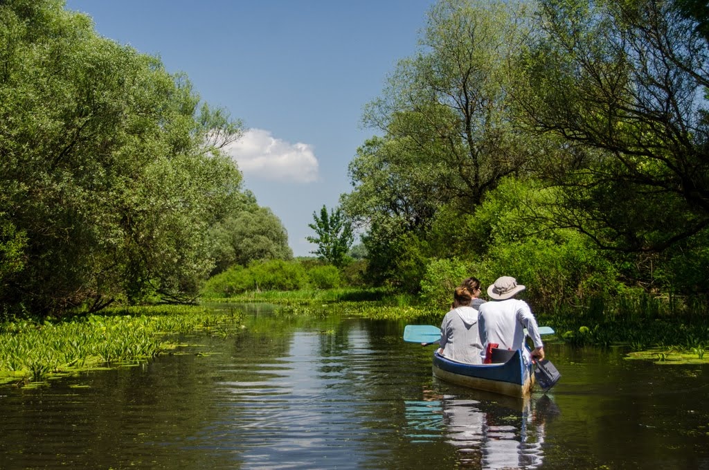 Zempléni-hegység: Nagy-Milic (895 m), Megyer-hegyi tengerszem ...